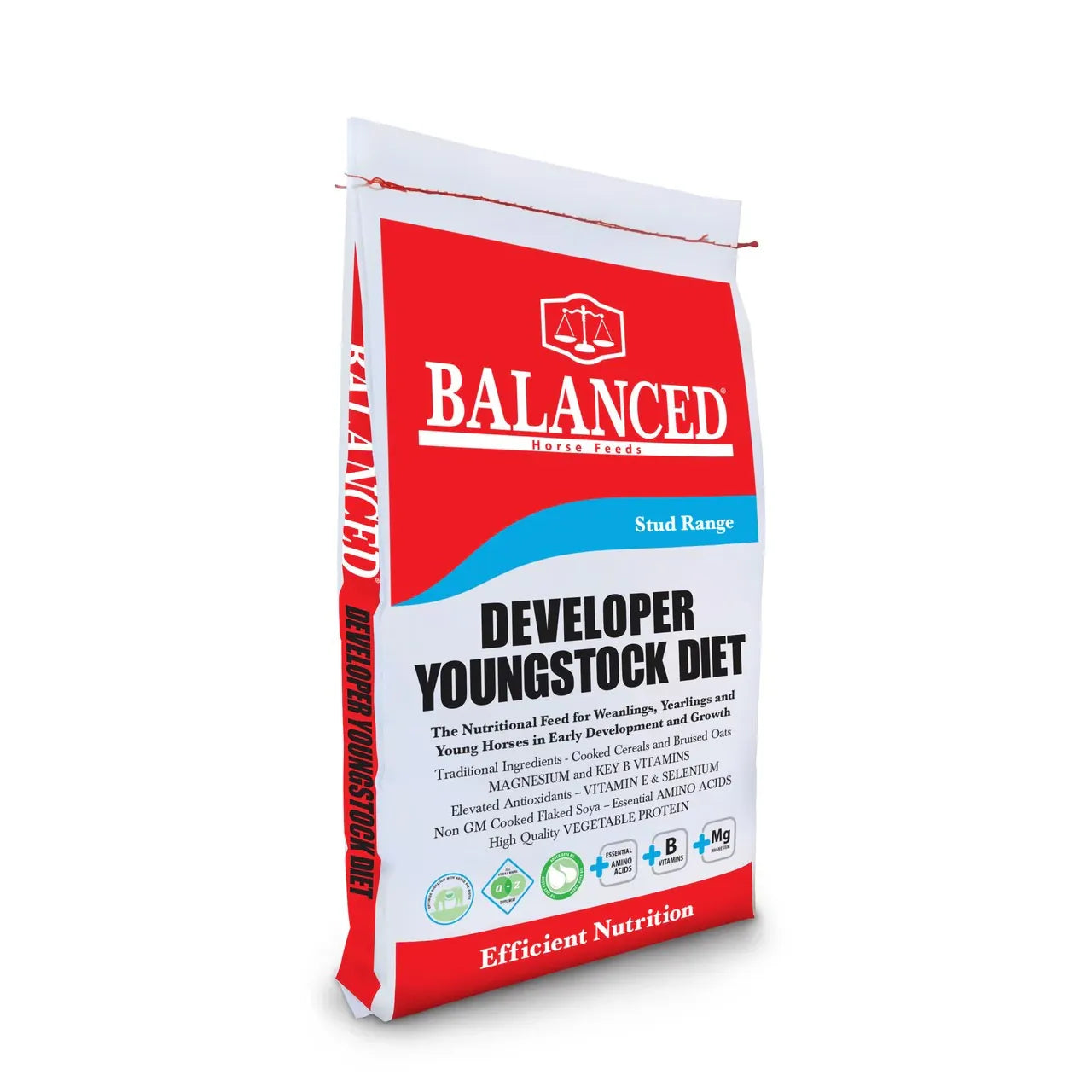 Developer Youngstock Mix – Balanced Horse Feeds